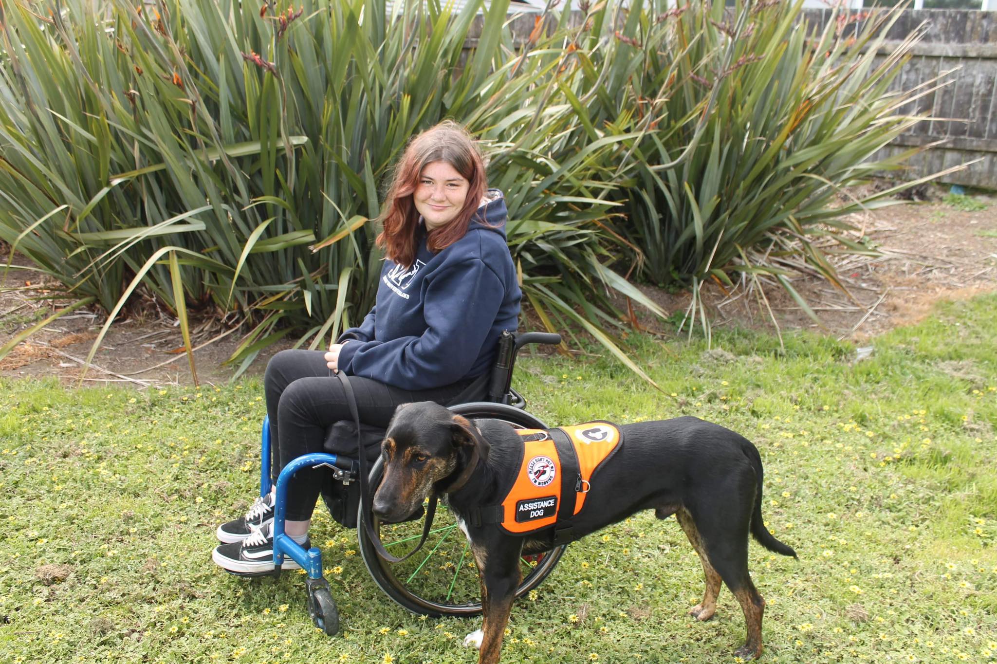 Home - K9 Search Medical Detection